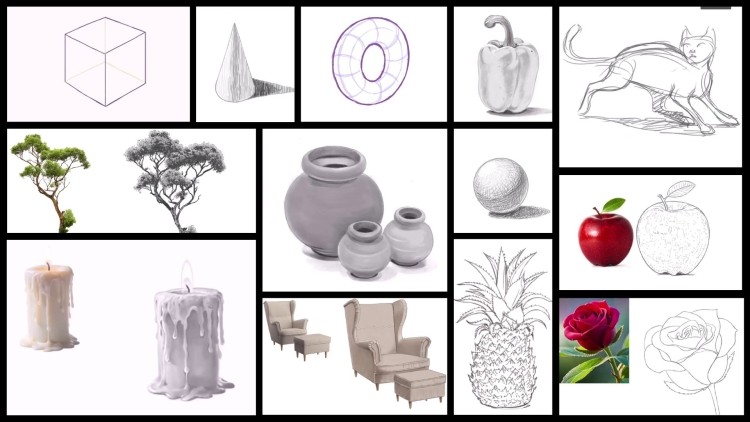 Learn to Draw - Complete Beginner’s Drawing Course - SilkCourses.com