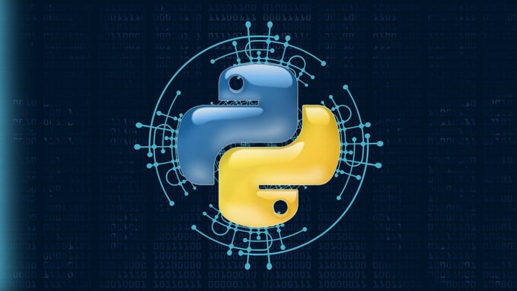 Python Programming: A Step-by-Step Programming Course - SilkCourses.com