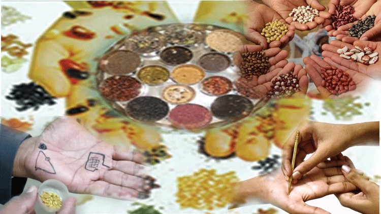 Certificate In Su Jok Seed Therapy - SilkCourses.com