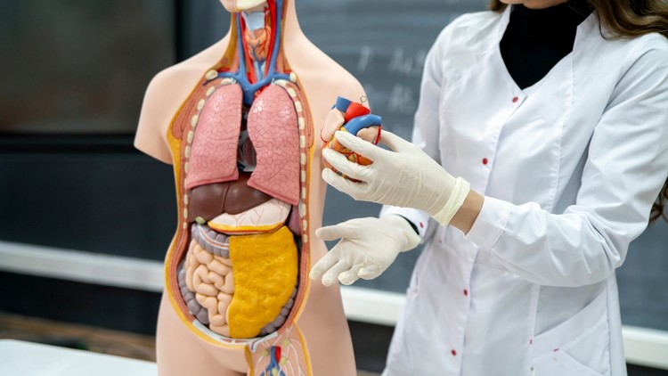 Medical Coding Part 2: CPT Coding & Medical Billing Basics ...