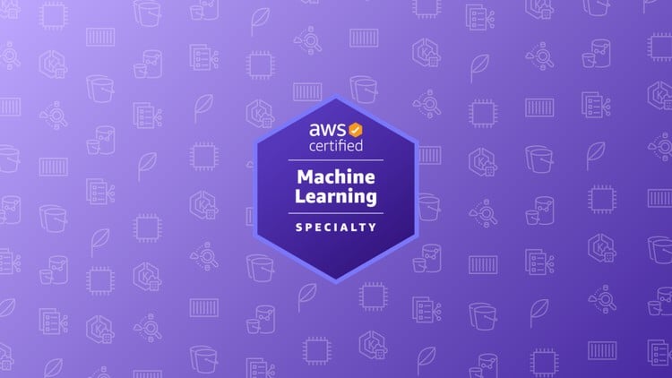 AWS Certified Machine Learning Specialty Practice Tests 2025 ...