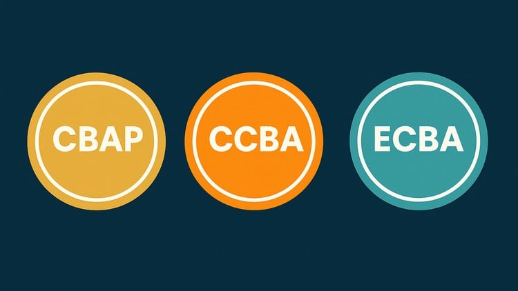 CBAP, CCBA & ECBA Practice Tests 800+ BABOK v3 Questions - SilkCourses.com