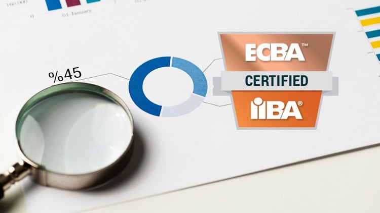 Entry Certificate in Business Analysis (ECBA) | 2026 Tests ...